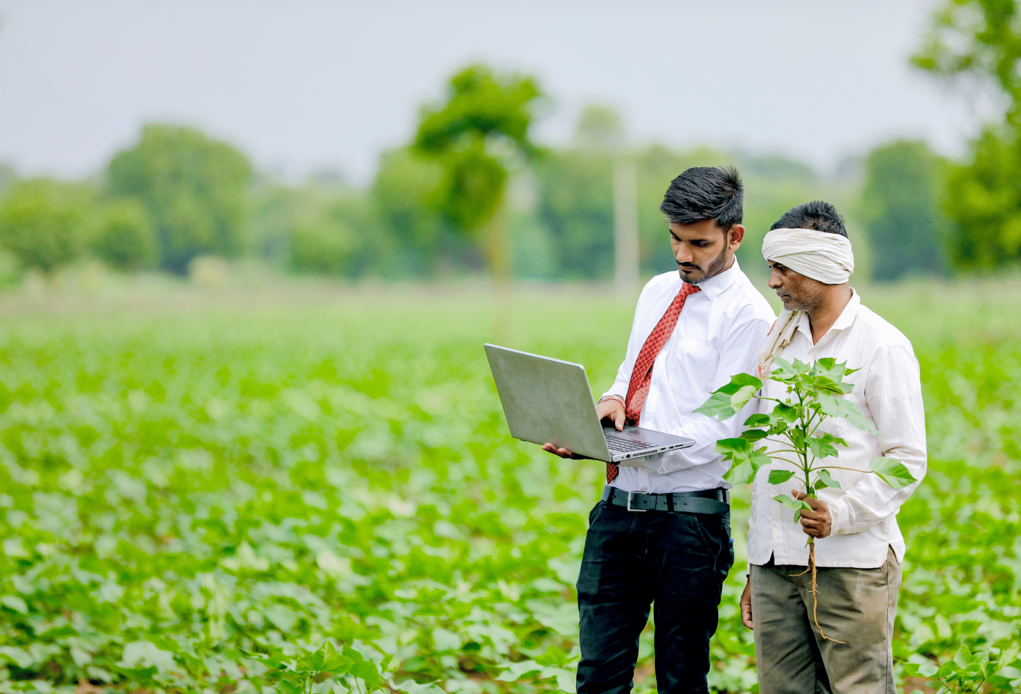 Agronomist cum Station Manager Job (R&D Operations) at Namdhari Seeds, Karnataka, India - Agri ...